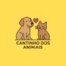 Spitz Alemão: confira tudo sobre a raça aqui